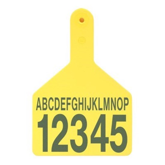 S-Tag | Layout 2 :: Shearwell.com