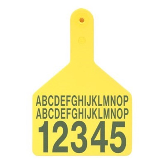 S-Tag | Layout 3 :: Shearwell.com