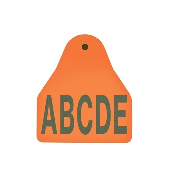 BOS Small Male | Layout 3 | Cattle :: Shearwell.com